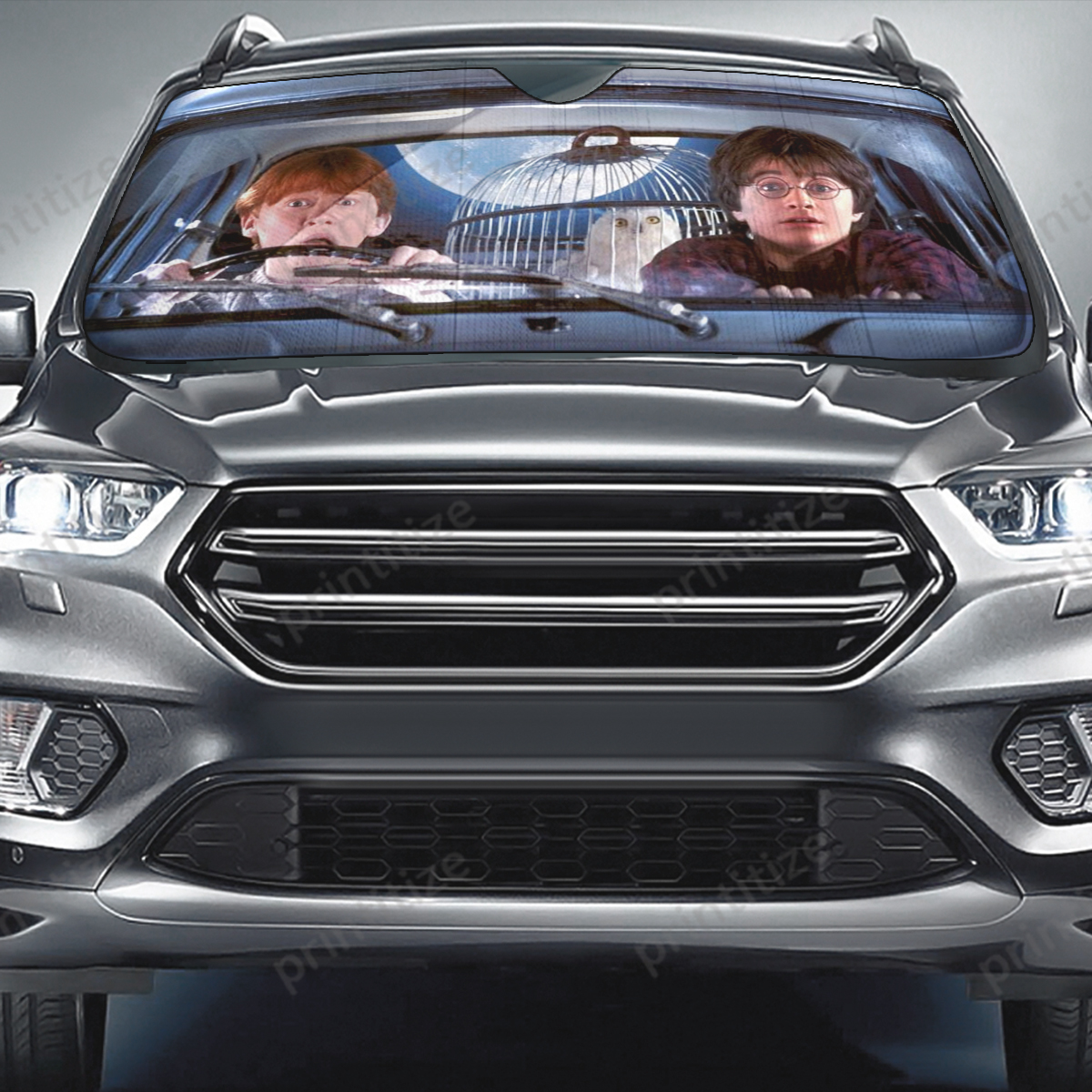 Buy Harry Potter And Ron Auto Sun Shade Online | Free Shipping | Printitize
